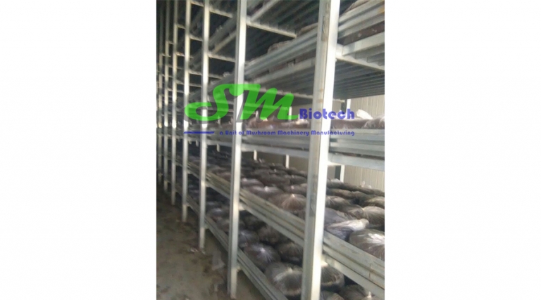 Mushroom Growing Room Racks 2 - Mushroom Machines