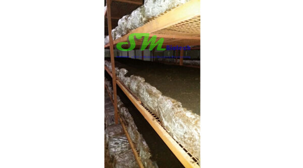 Mushroom Growing Room Racks - Mushroom Machines